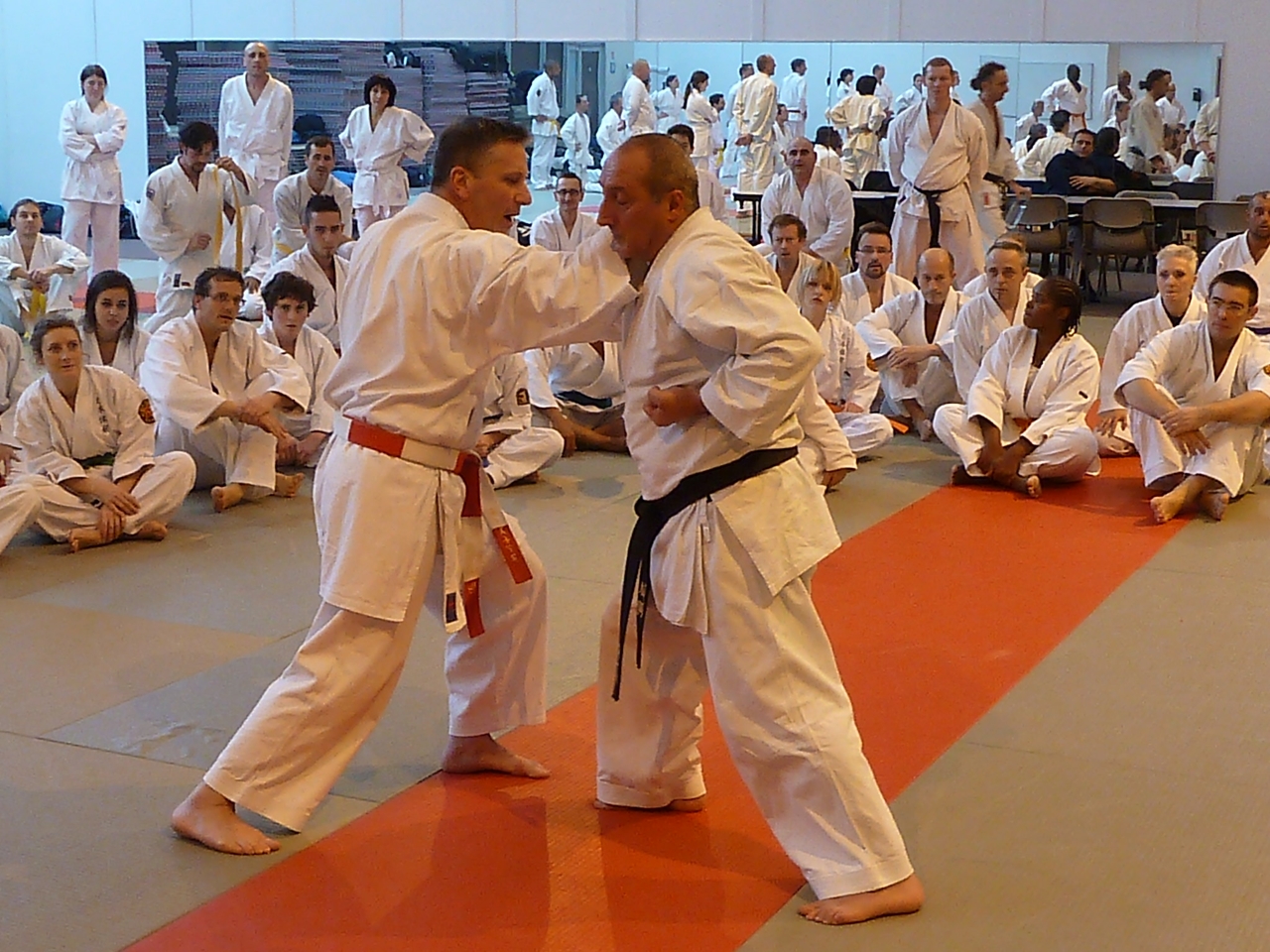 NIHON TAI JITSU & SARC - GENNEVILLIERS (92230 - FRANCE) - Photo NIHON ...